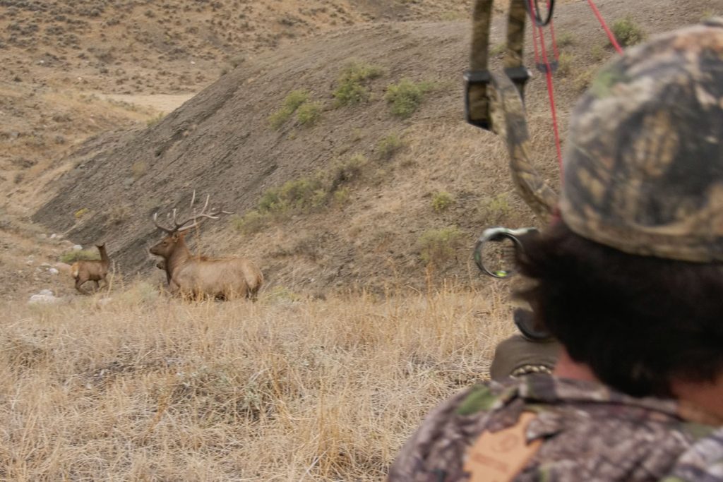 Hunting Gallery | Burke Ranch Outfitters